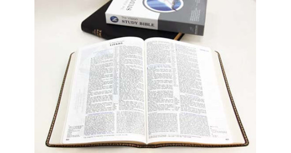 KJV The Vision Study Bible