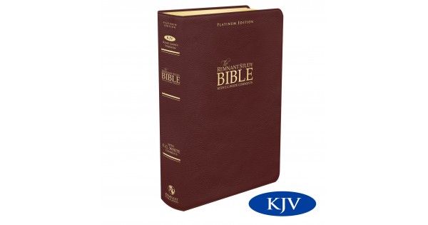 Platinum KJV Study Bible Maroon