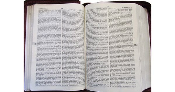 KJV History of Redemption Bible